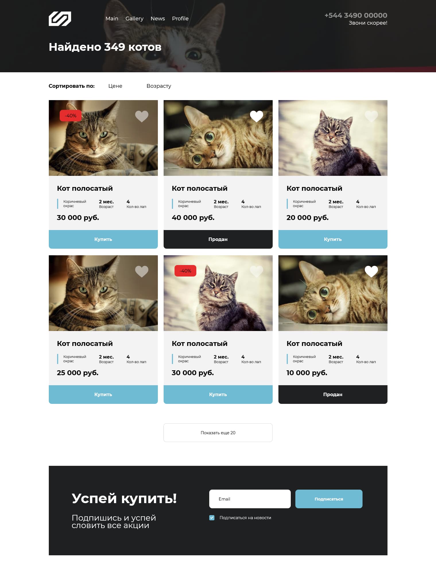 Irina - front-end developer
